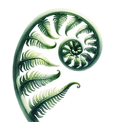 Emergent Learning | Learning Solutions | Learning Design